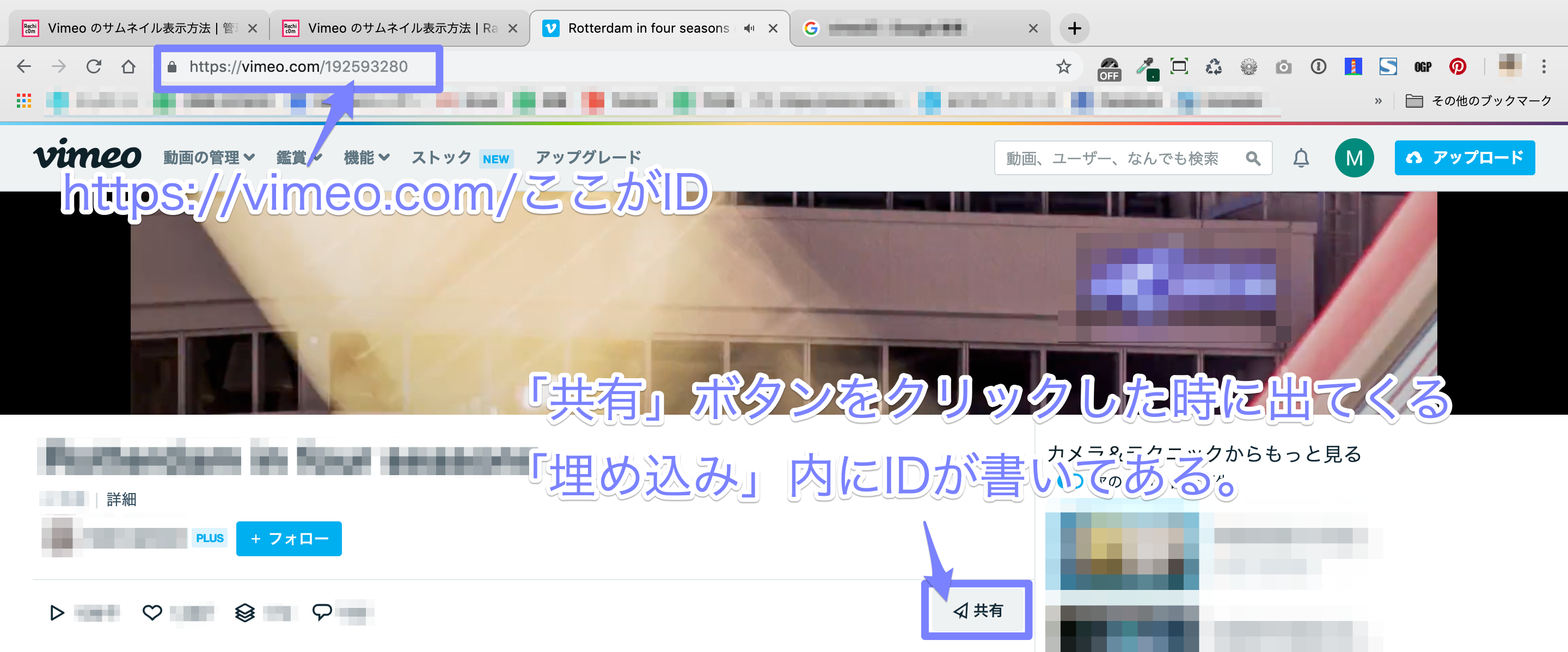 Vimeo のサムネイル表示方法 | フロントエンド | Sugar Web Cloud